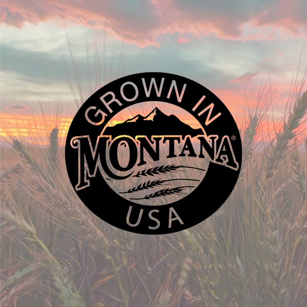 Regenerative Wheat Berry Bundle